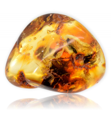 Ambre