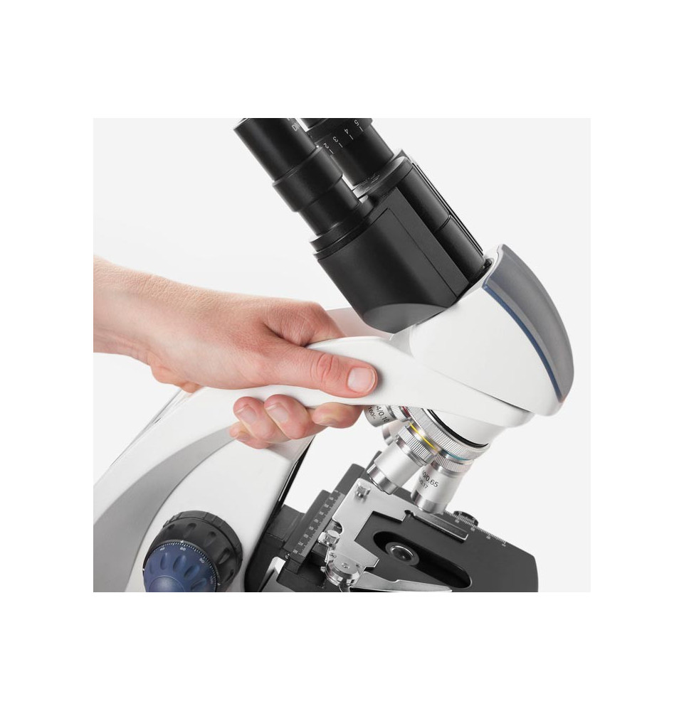 Microscope euromex BIOBLUE S40x S100x