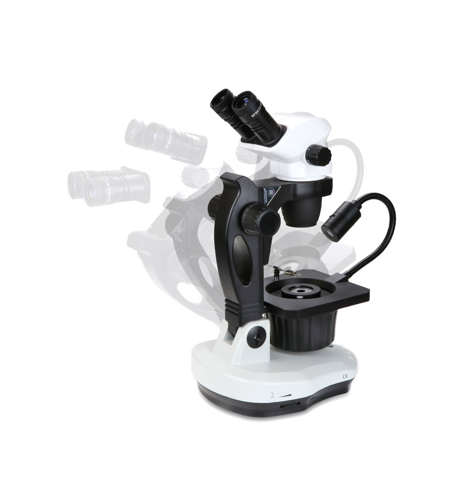 Microscope Euromex Nexius zoom pour la gemmologie